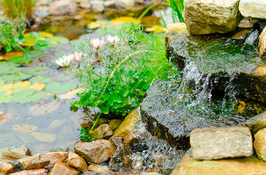 Town Pond | Nature's Edge Design + Build Landscapes