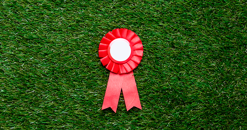 We Won The 'Best Landscaper Company' Award | Nature's Edge Design ...